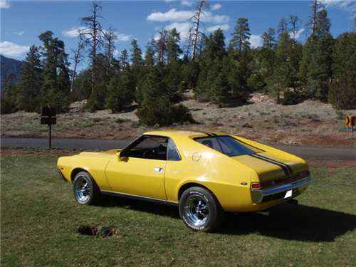 Powered by APG vNext Trial - Yellow Sports Cars | MR2 AUSTRALIA